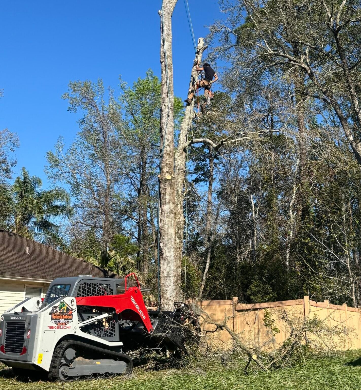 Volusia Tree Service: Tree Removal & Trimming Experts